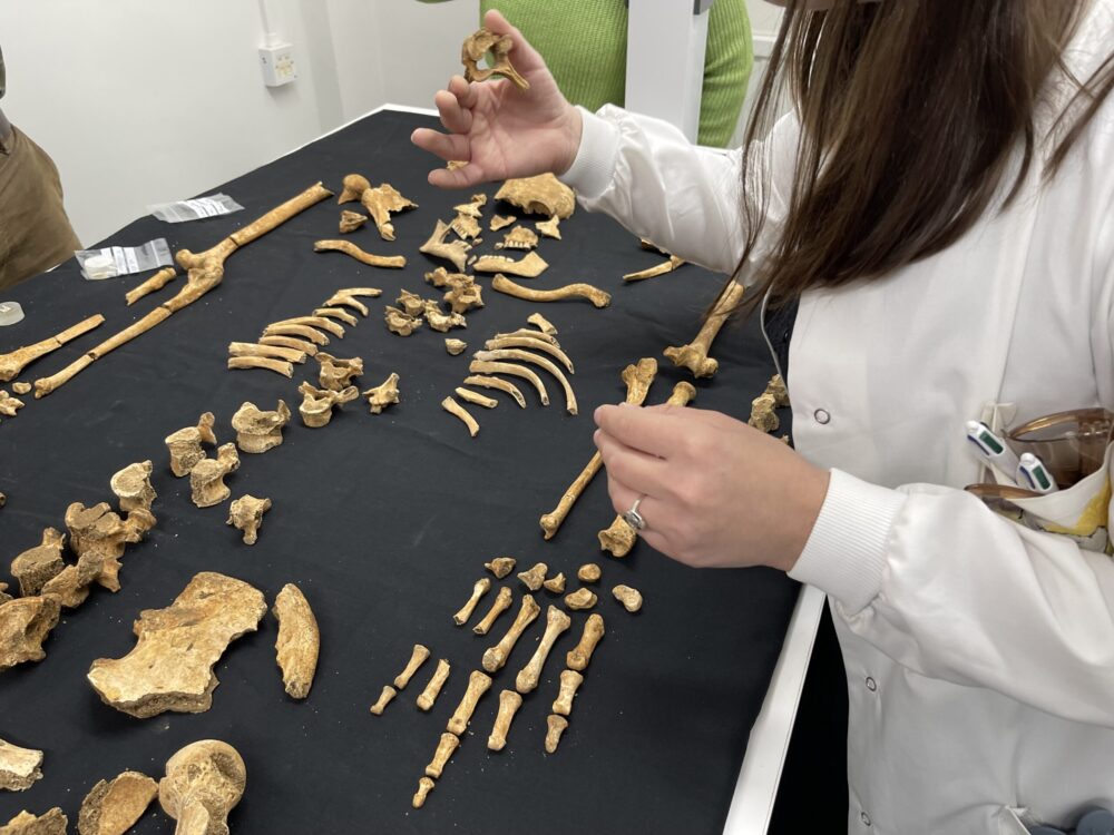 New clues uncovered from excavations at popular visitor attraction