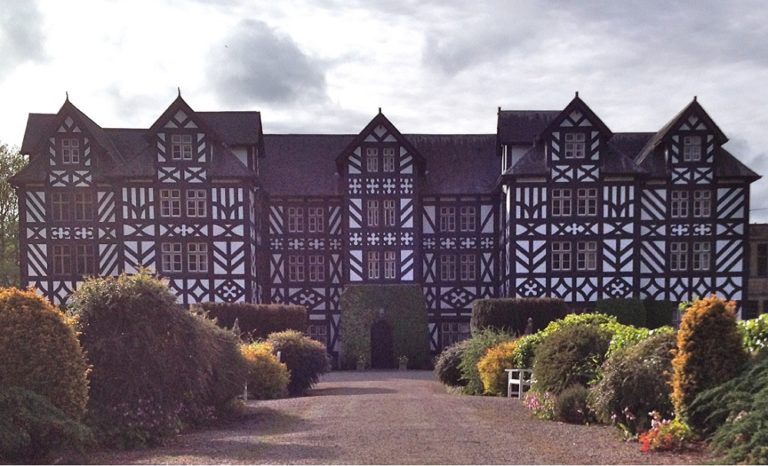 Ancient Gregynog Oak represents Wales in UK Tree of the Year contest