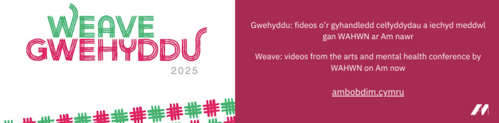 Welsh Government launches new plan to safeguard Welsh language place names
