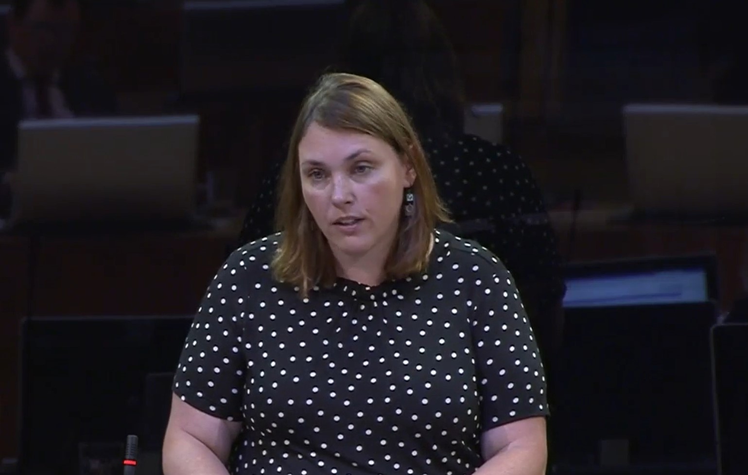 Plaid Cymru criticise decision not to abolish Welsh second language ...