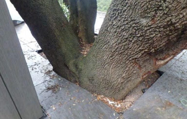 Mansion owners in country park forced to remove new terrace harming ...