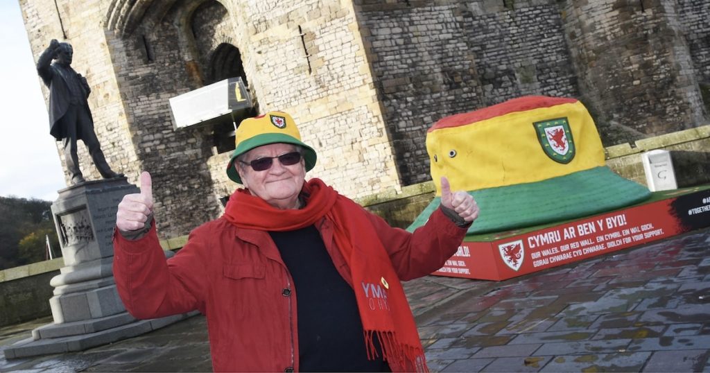 Dafydd Iwan to be honoured by Welsh university