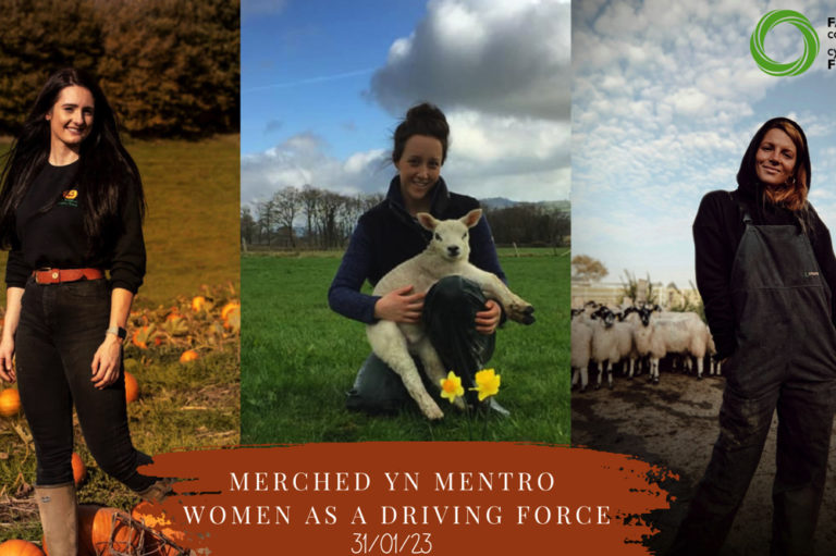Online event to showcase female farming influencers of Wales