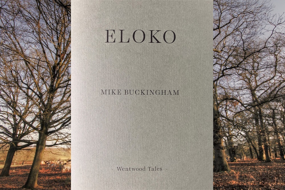Review: Eloko by Mike Buckingham