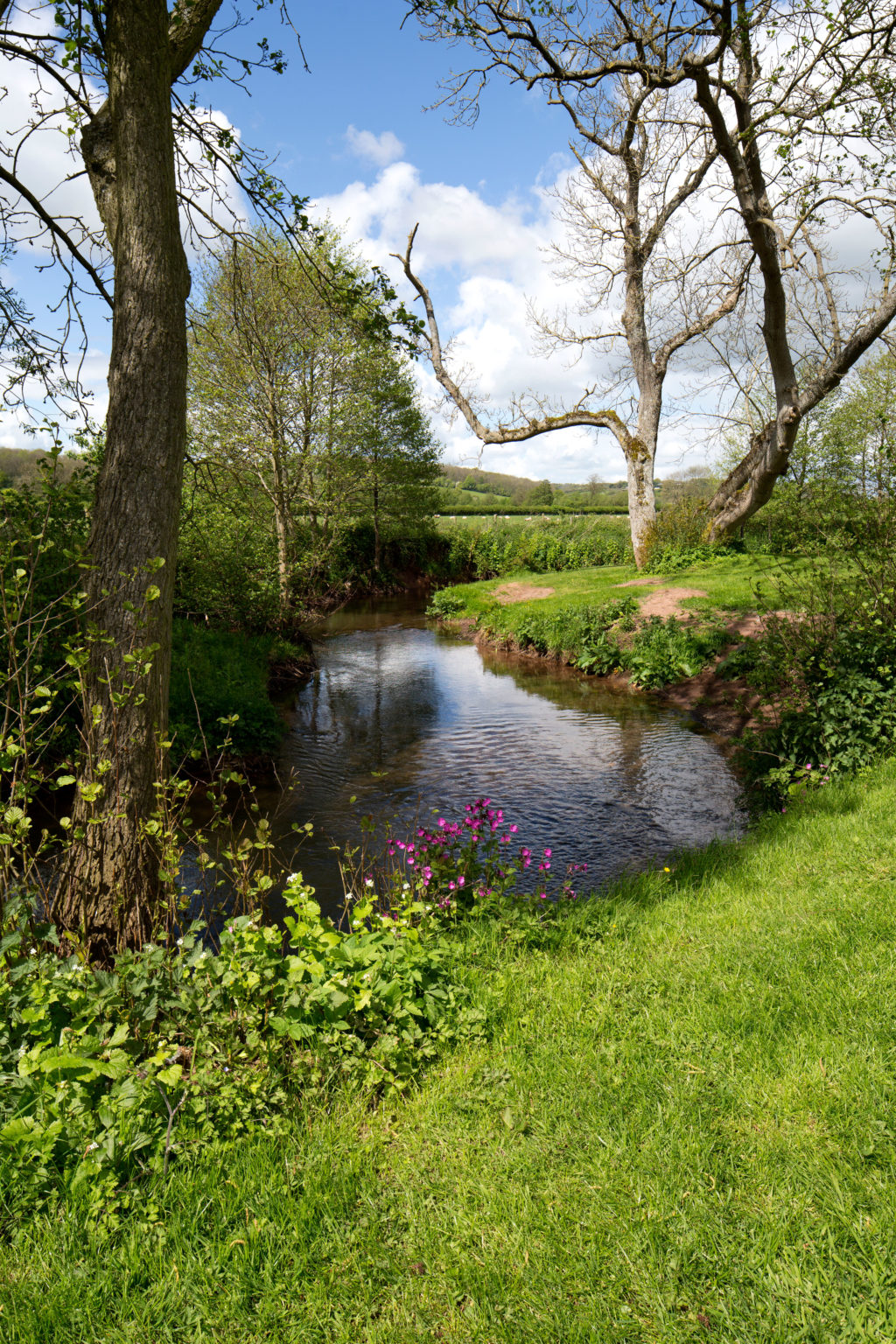 Campaigners to appeal to the Supreme Court to halt development that ...