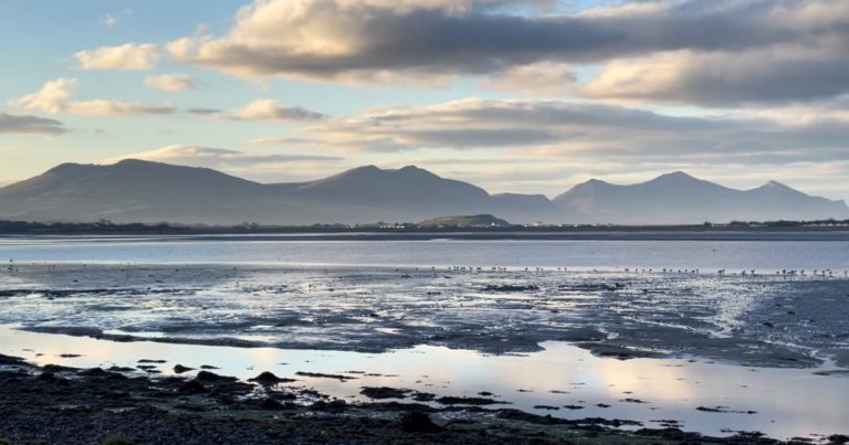 Letter from the Foryd estuary