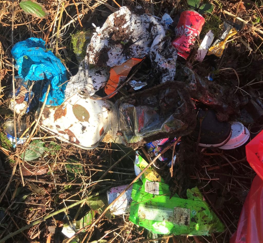 MS calls for action to tackle campers trashing beauty spots with litter ...