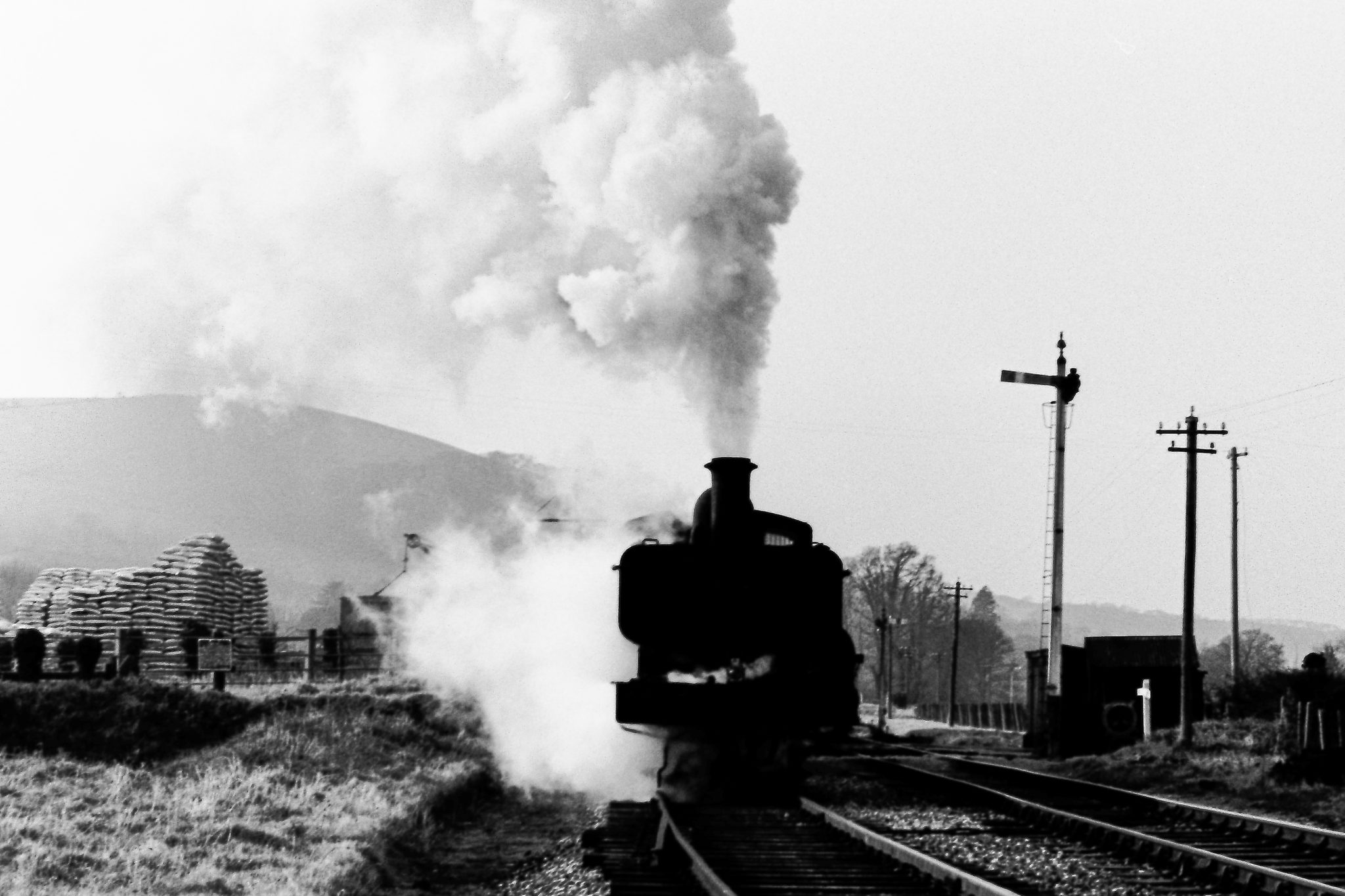 New book featuring unseen photos offers remarkable snapshot of final ...