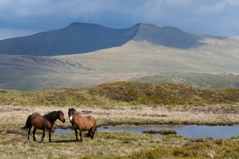 Brecon Beacons National Park dropping English name
