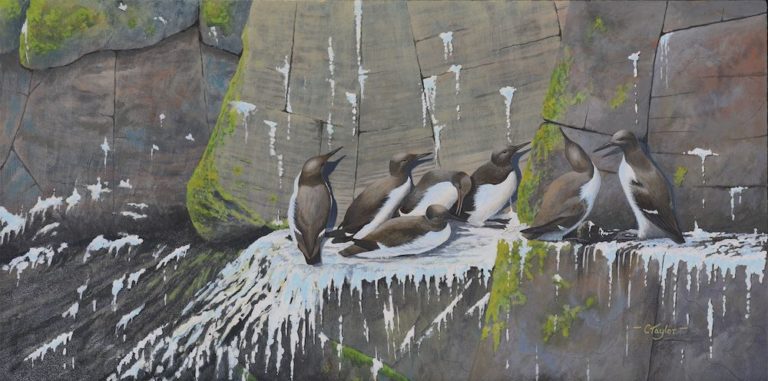 Letter from South Stack