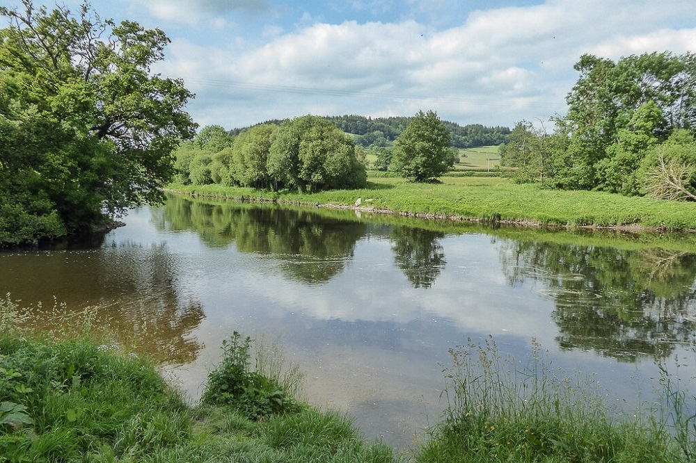 Largest poultry producer in river Wye catchment claims it has reduced ...