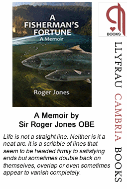 Review: Capten by Meinir Pierce Jones