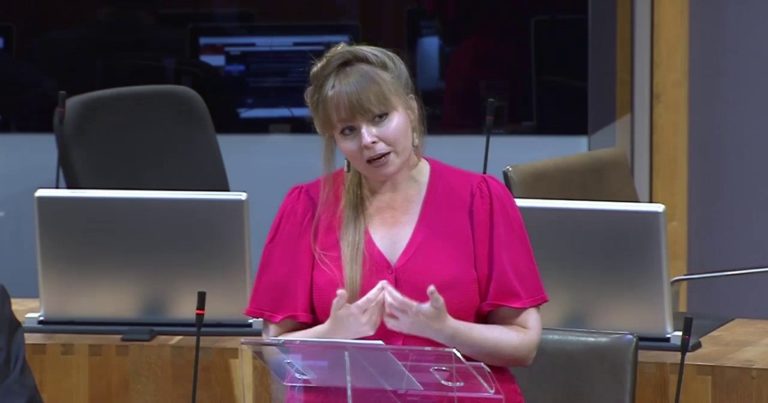 Plaid accuses Labour in HS2 funding row