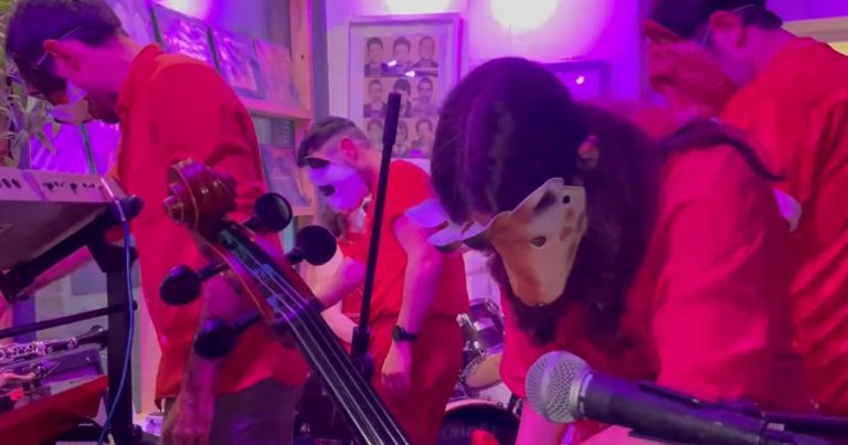 Music review: Rogue Jones at the Tangled Parrot, Swansea