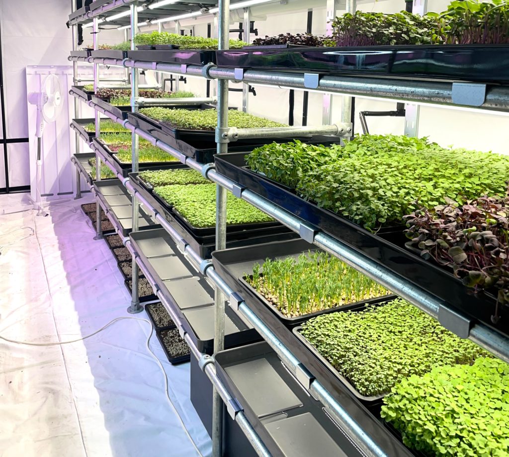 Vertical farming project helps growers reach new heights