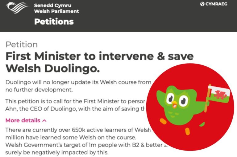Welsh Duolingo petition tops Senedd list