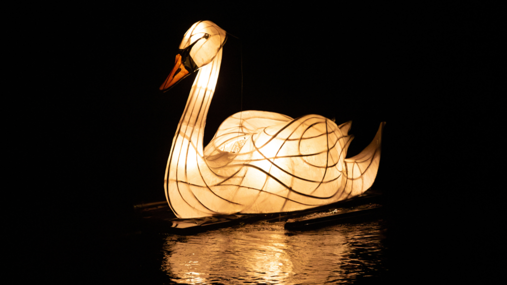 Swansea Canal lit up to mark 225th anniversary