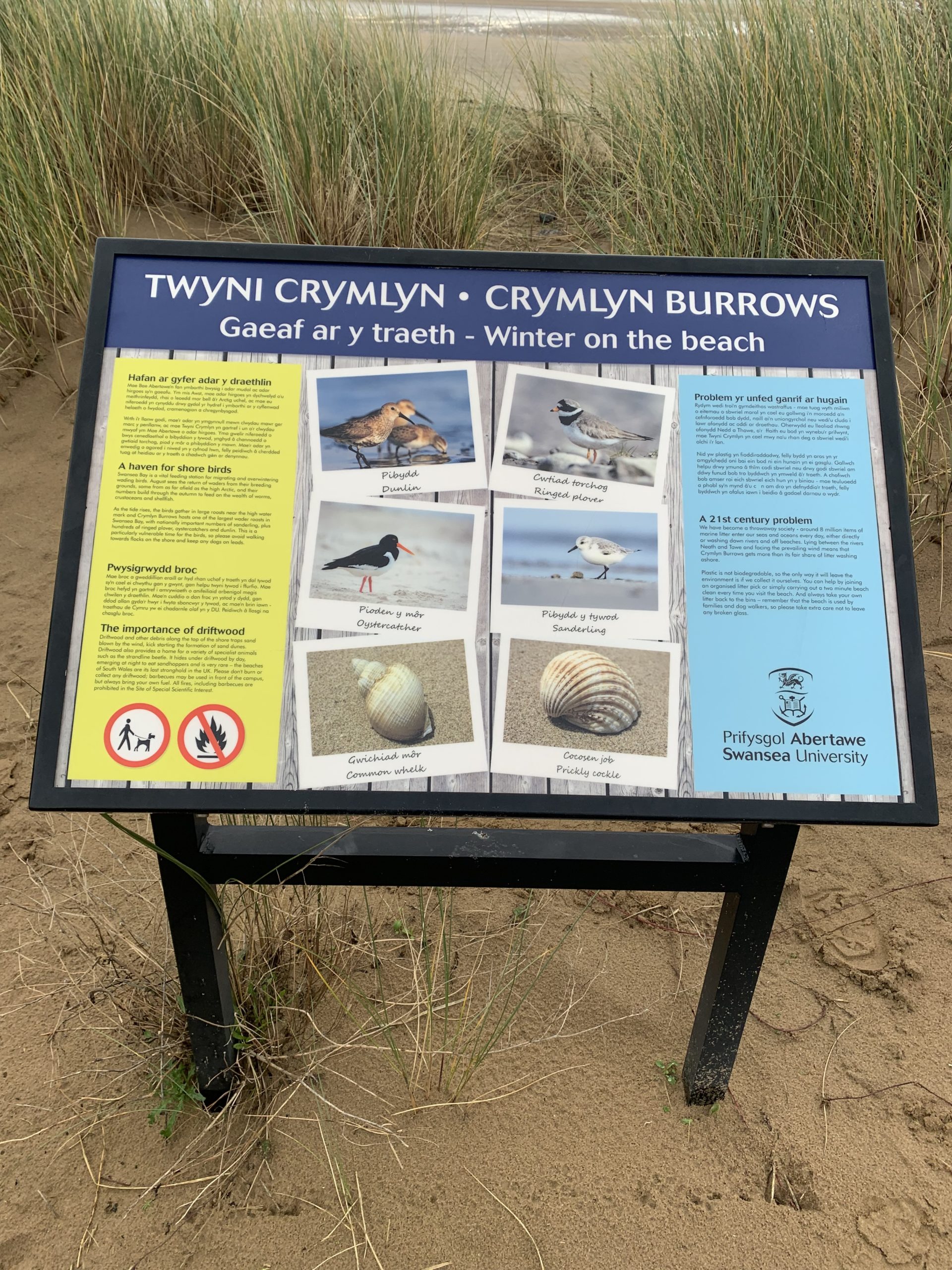 Letter from Crymlyn Burrows