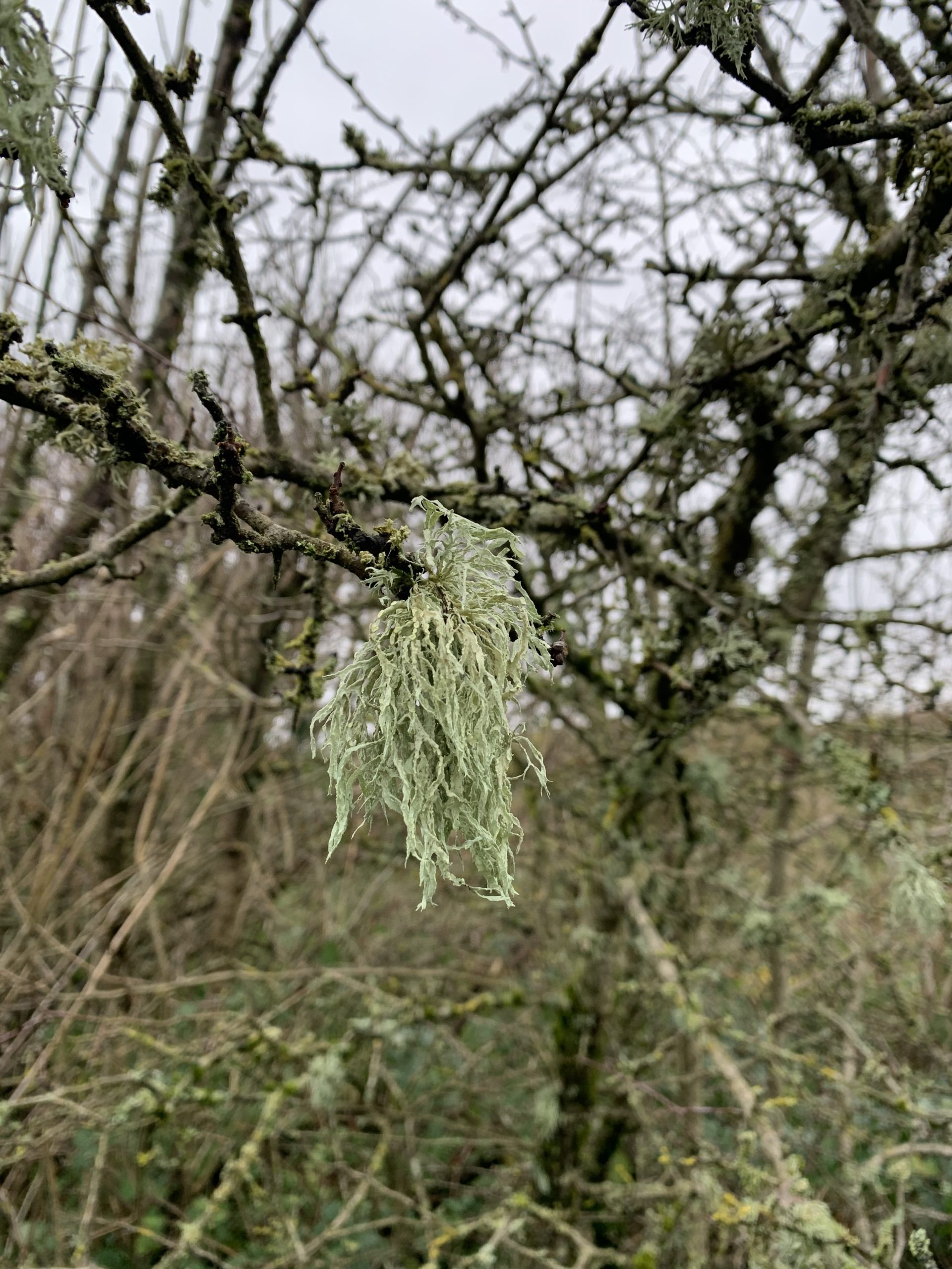 Letter from Crymlyn Burrows