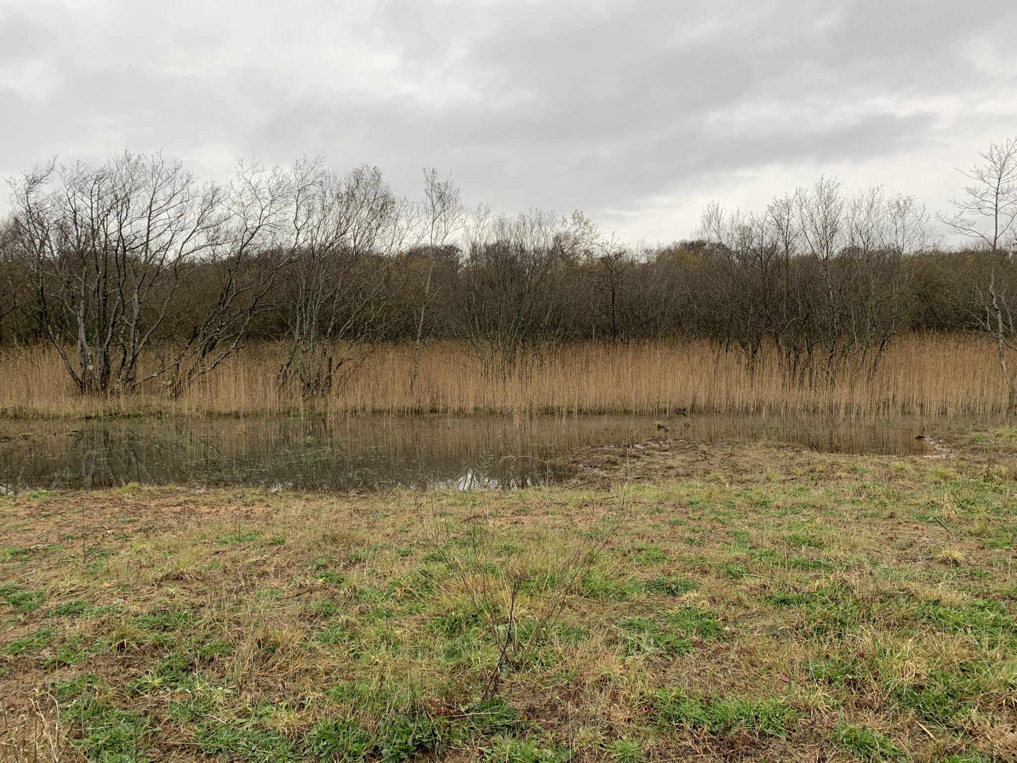 Letter from Crymlyn Burrows