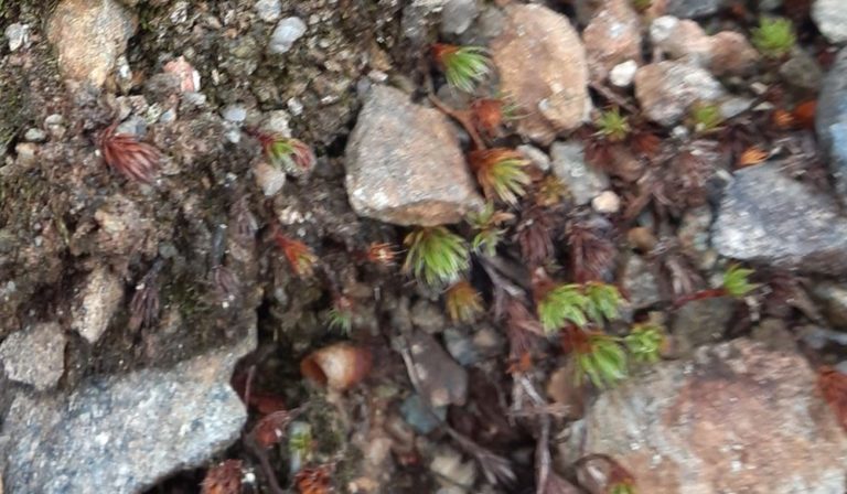 News Archives - Nation.Cymru