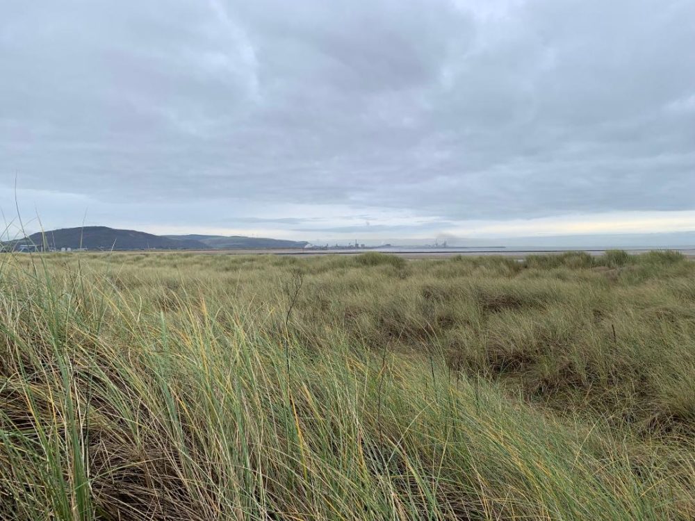 Letter from Crymlyn Burrows