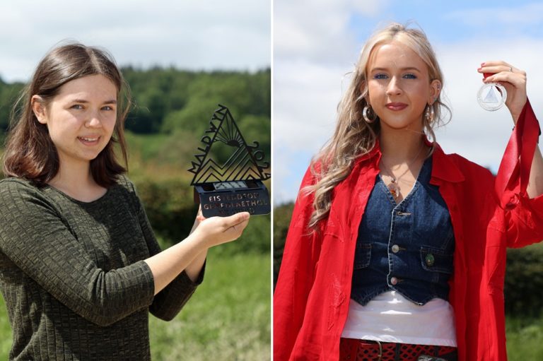 Eisteddfod yr Urdd Maldwyn Main Artist and Art Medal winners announced
