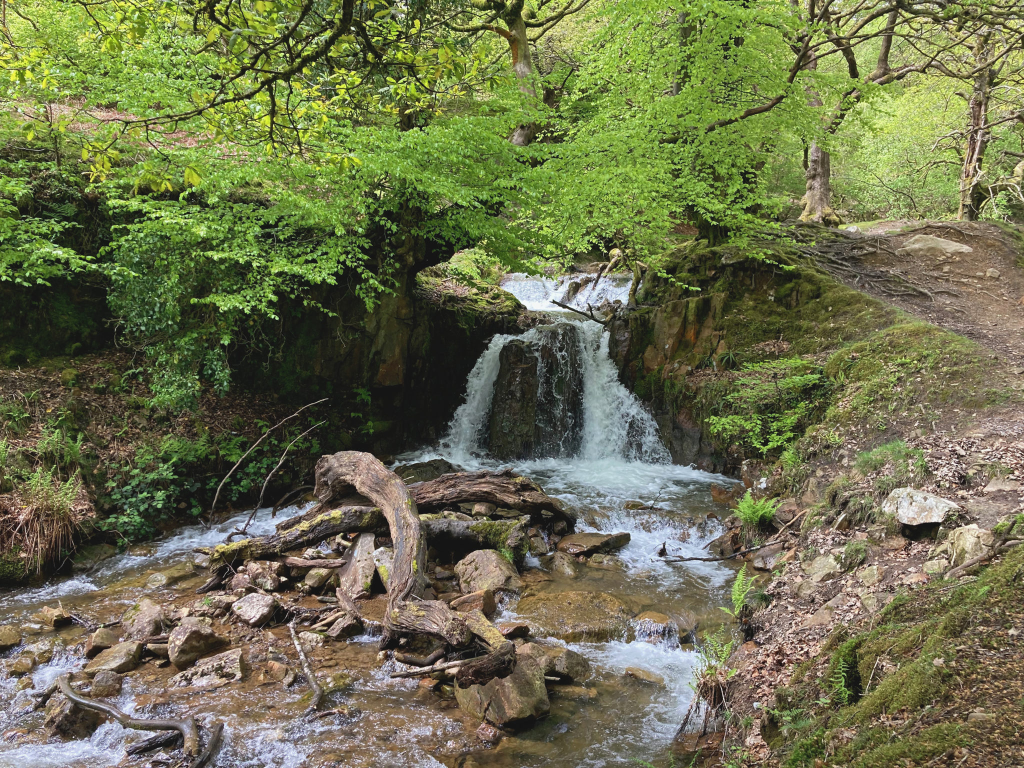 Y Filltir Sgwâr/The Square Mile: Waterfalls, Cascades and Colliery Spoil