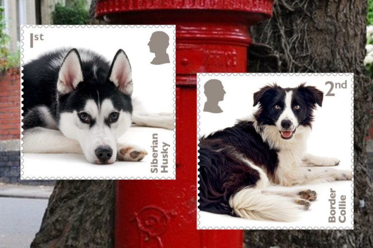 New stamps issued featuring images of popular dog breeds