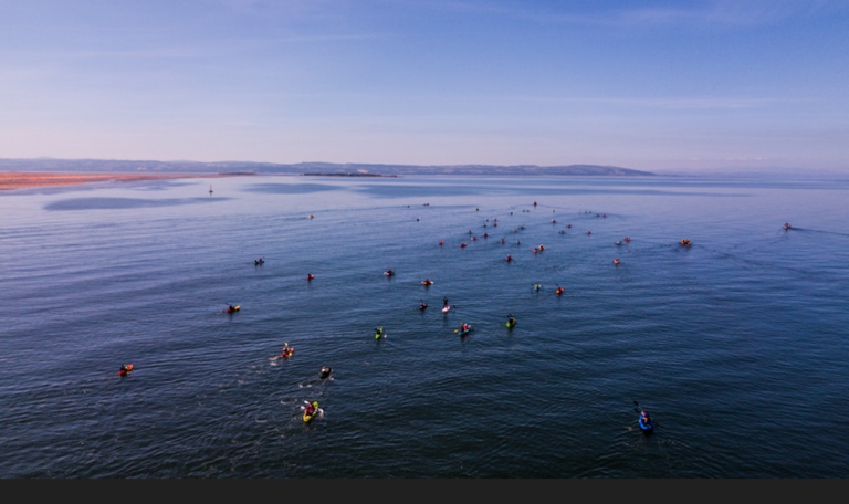 Top 5 things to do across Wales this summer to connect with nature and ...