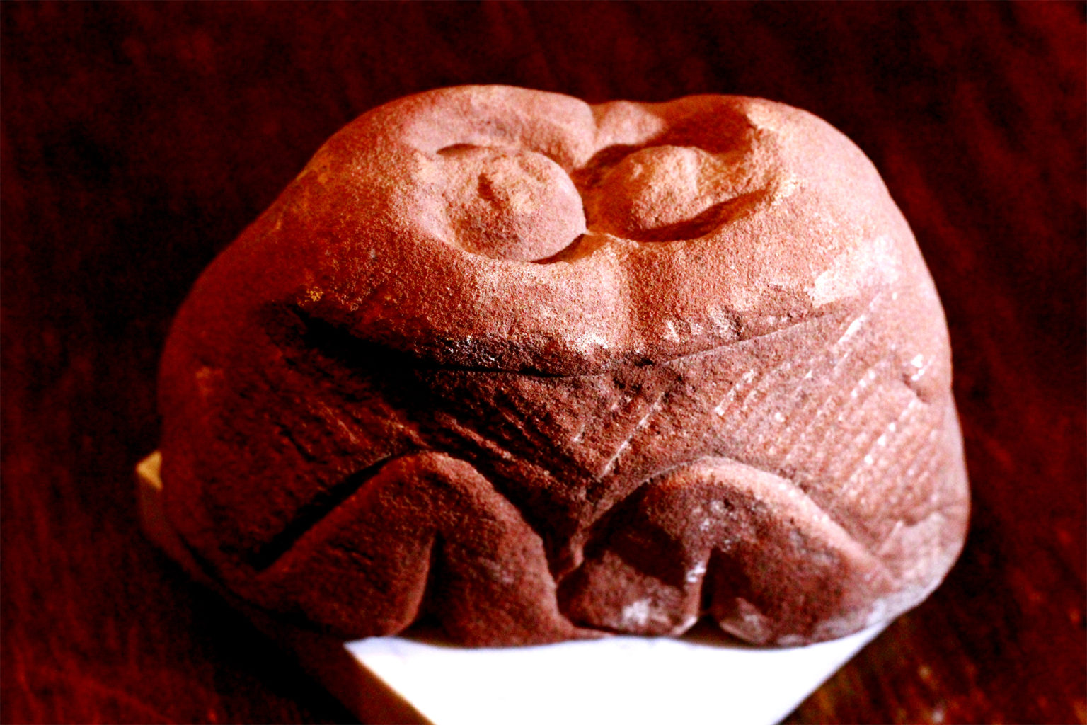 Art: Susan Roberts at the Queen Street Gallery, Neath