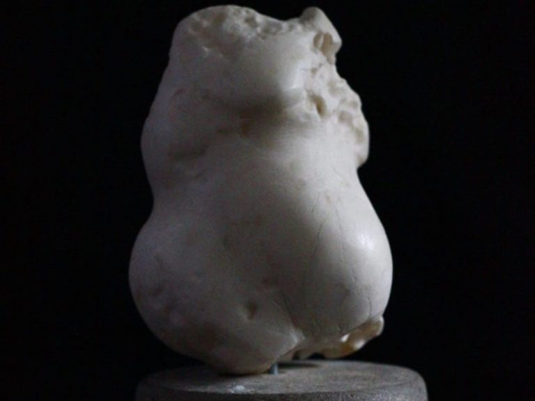 Art: Susan Roberts at the Queen Street Gallery, Neath