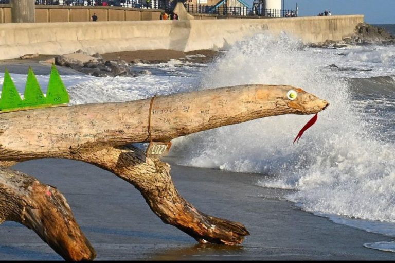 Locals mourn the loss of Lizzie the Porthcawl 'sea monster'