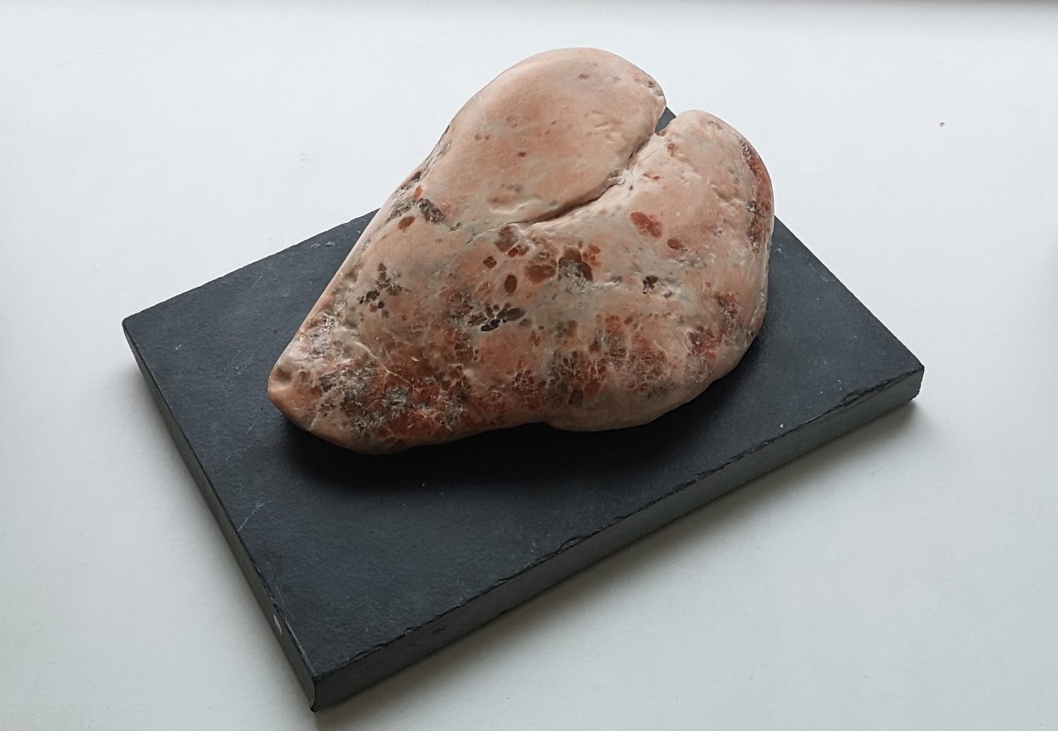 Art: Susan Roberts at the Queen Street Gallery, Neath