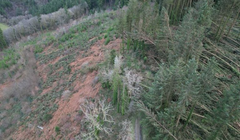 Rallying events cancelled due to Storm Darragh damage