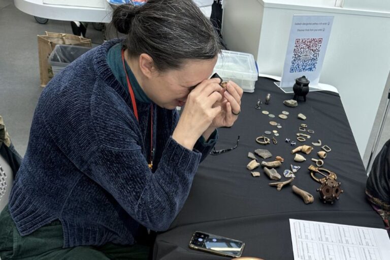 Neolithic, Bronze and Iron Age objects identified during finds day at ...