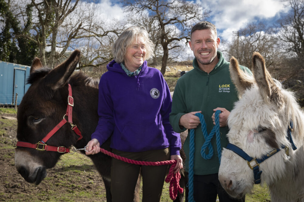 Rescue donkeys clear the way for one of Wales’ rarest fungi to thrive