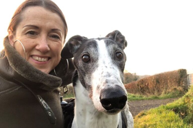 Wales passes landmark Bill to ban greyhound racing
