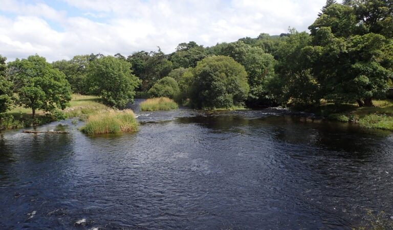 River to see extra water released to protect fish during heatwave