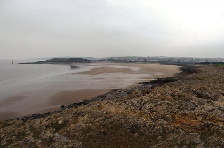 Calls for old harbour to be turned into nature reserve