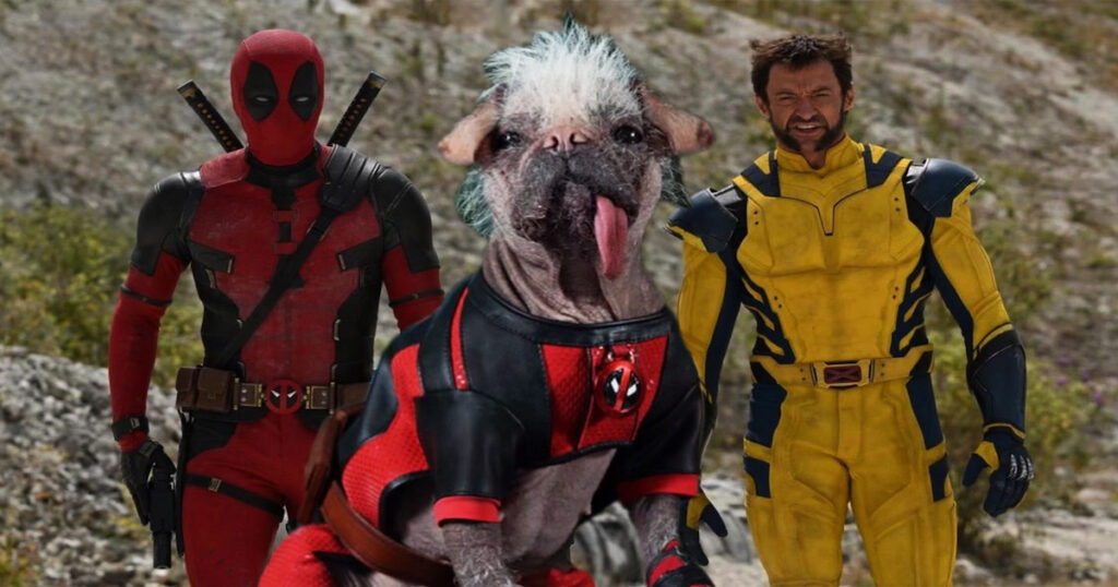 Deadpool and Wolverine star Dogpool is coming to Wales