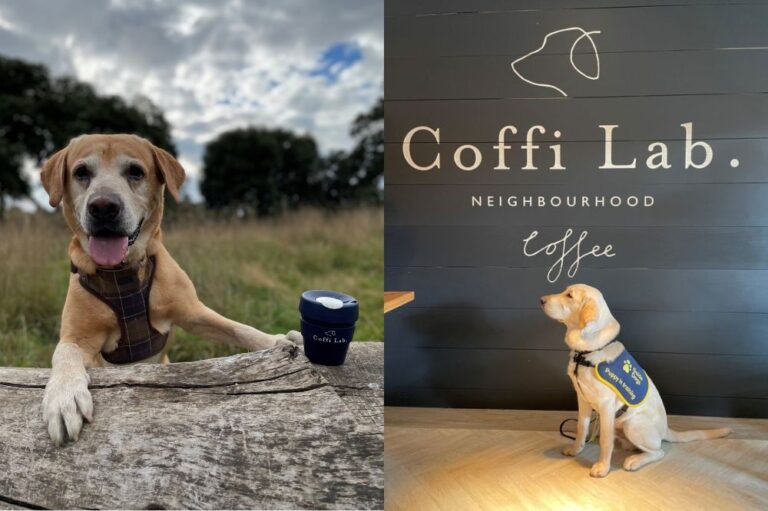 Coffi Lab celebrates 12th store with tribute to beloved Labrador