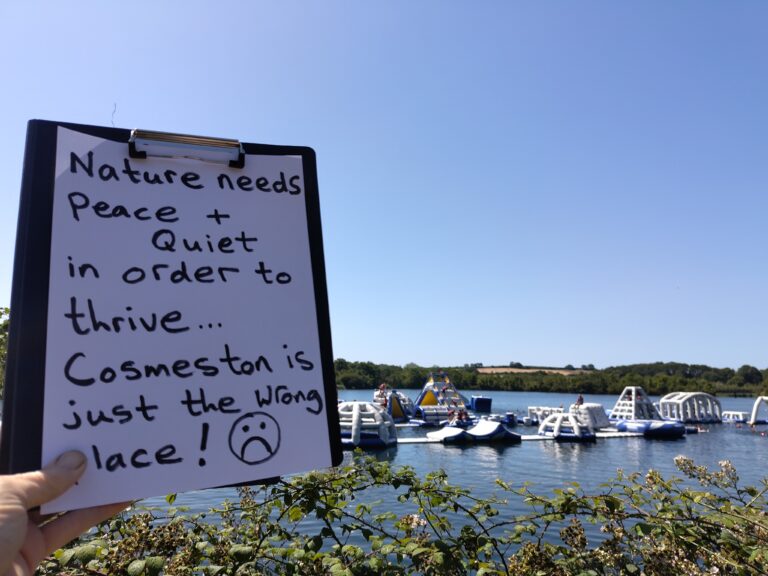 Nation.Cymru - A news service by the people of Wales, for the people of ...