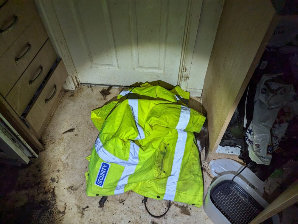 Woman imprisoned after springer spaniel abandoned in Neath property ...
