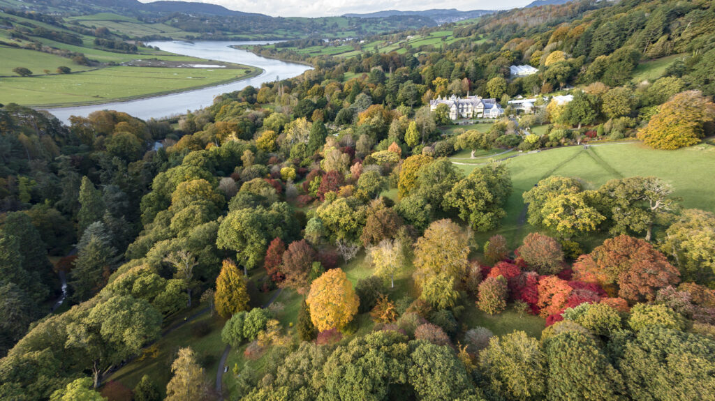 A spectacular bird’s eye view of autumn in Wales