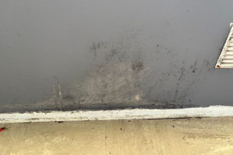 Mother describes ‘dreadful’ experience of living in a mouldy house