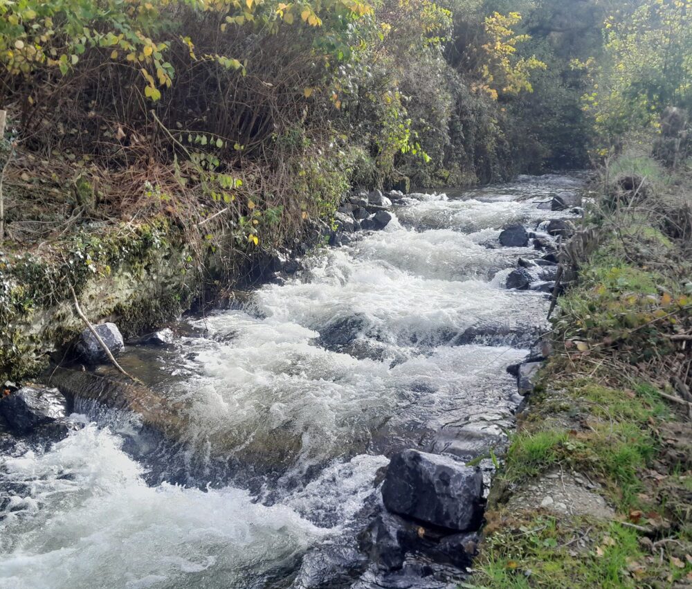Fish passage improvement completed on the River Teifi