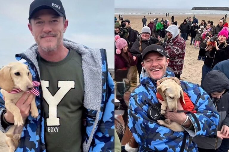 Hollywood actor joins hundreds of sausage dogs at charity beach walk