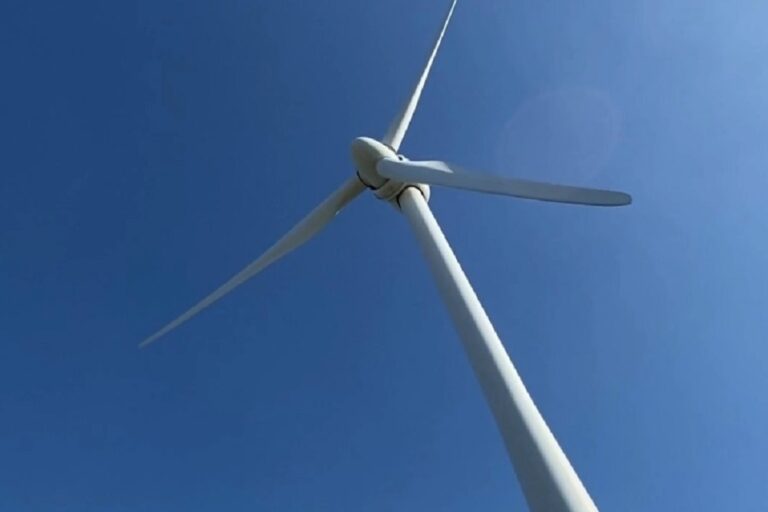 Fresh setback for wind turbine scheme as bat concerns remain