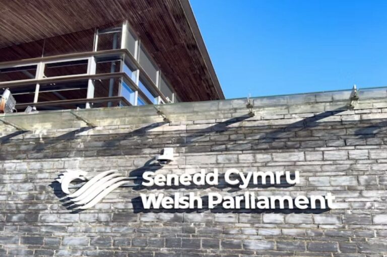 How the new Senedd election voting system works and why tactical voting ...